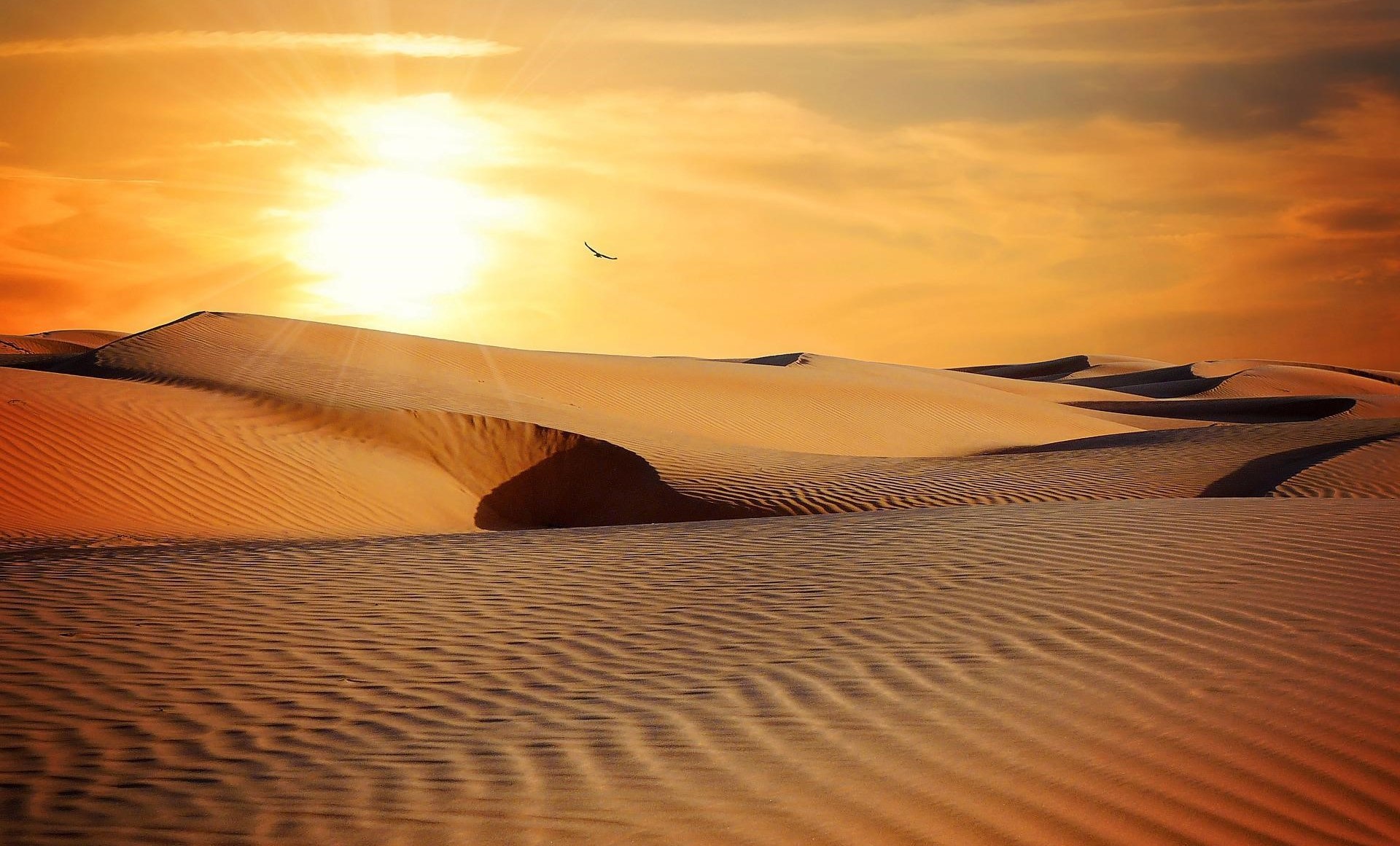 Des métaphores sur le sable pour explorer sa vie - OrientAction